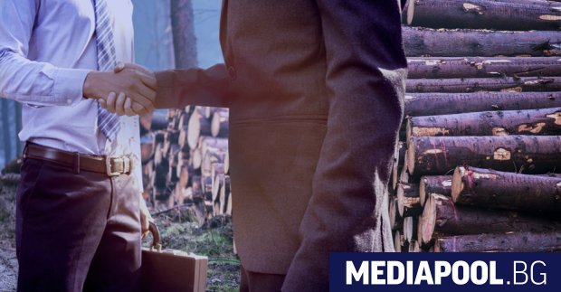 Заплатите на шефовете на държавните горски фирми набъбнаха до близо 15